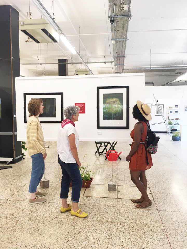 The ‘Guest Curator’ project – Participate Contemporary Artspace